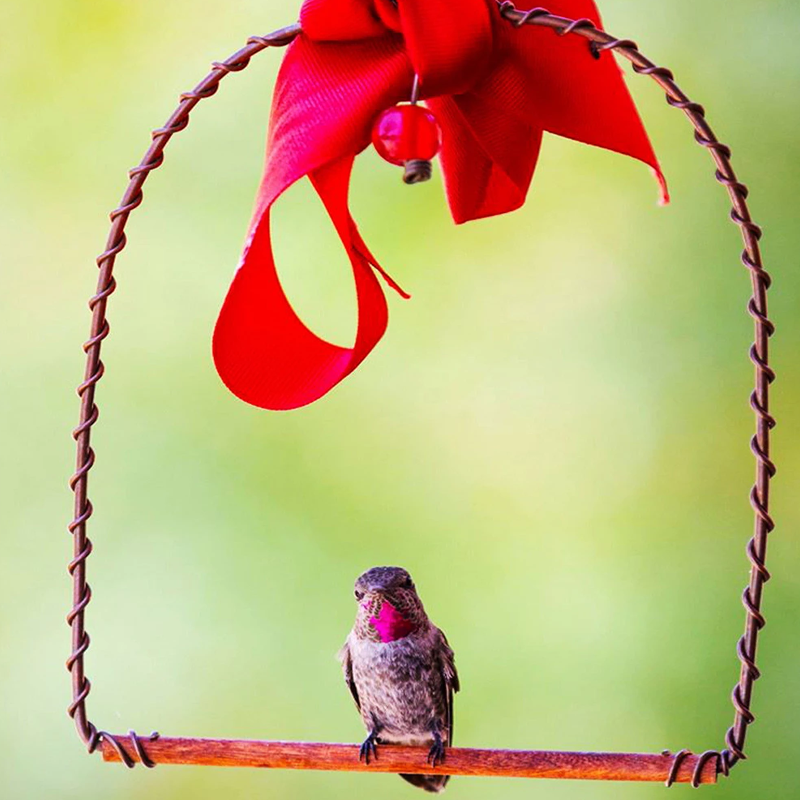 Best Copper Hummingbirds Swing – We Love Hummingbirds