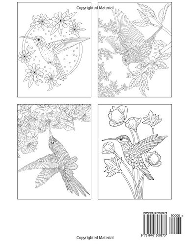 big picture adult coloring book