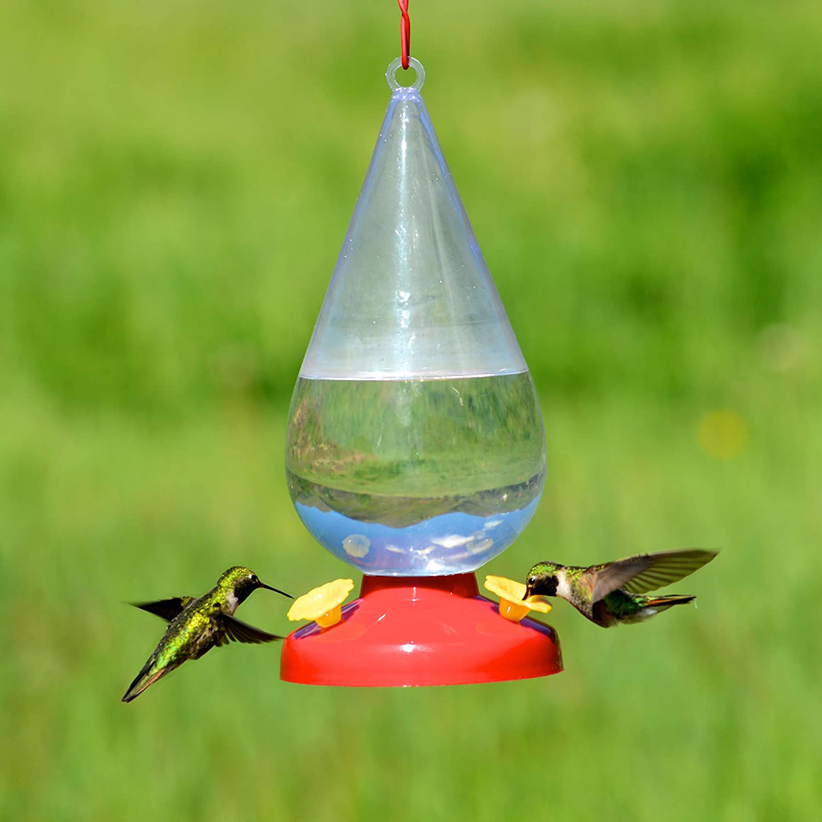 Dew Drop 32-Ounce Plastic Hummingbird Feeder – We Love Hummingbirds