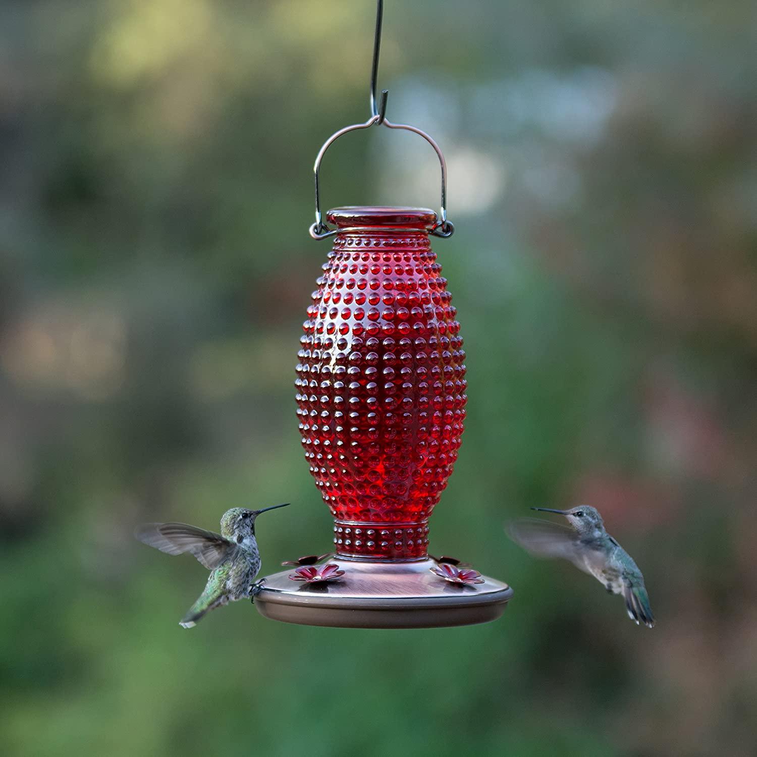 Red Hobnail Vintage Glass Hummingbird Feeder Holds 16 Oz Of Nectar We Love Hummingbirds