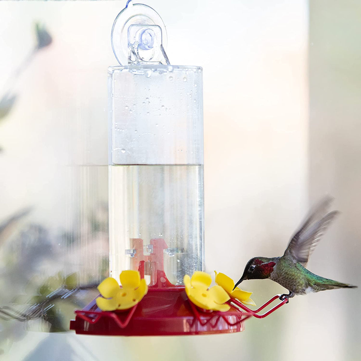 Window Mount Hummingbird Feeder - Holds 8 oz of Nectar – We Love ...